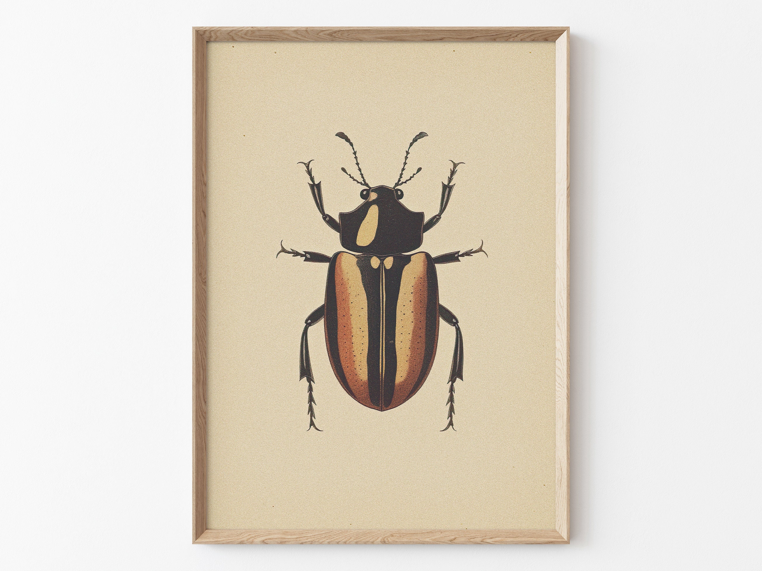 Antique Beetles Vintage Bug PRINTABLE Wall Art Prints Set - Etsy