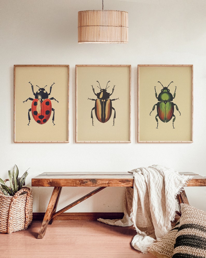 Antique Beetles Vintage Bug PRINTABLE Wall Art Prints Set - Etsy