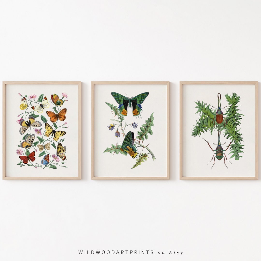 Vintage Botanical Insect Art Print, Set of 3 PRINTABLE Wall Art ...