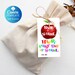 Back to School Apple Gift Tag Printable Template, Editable 1st First ...