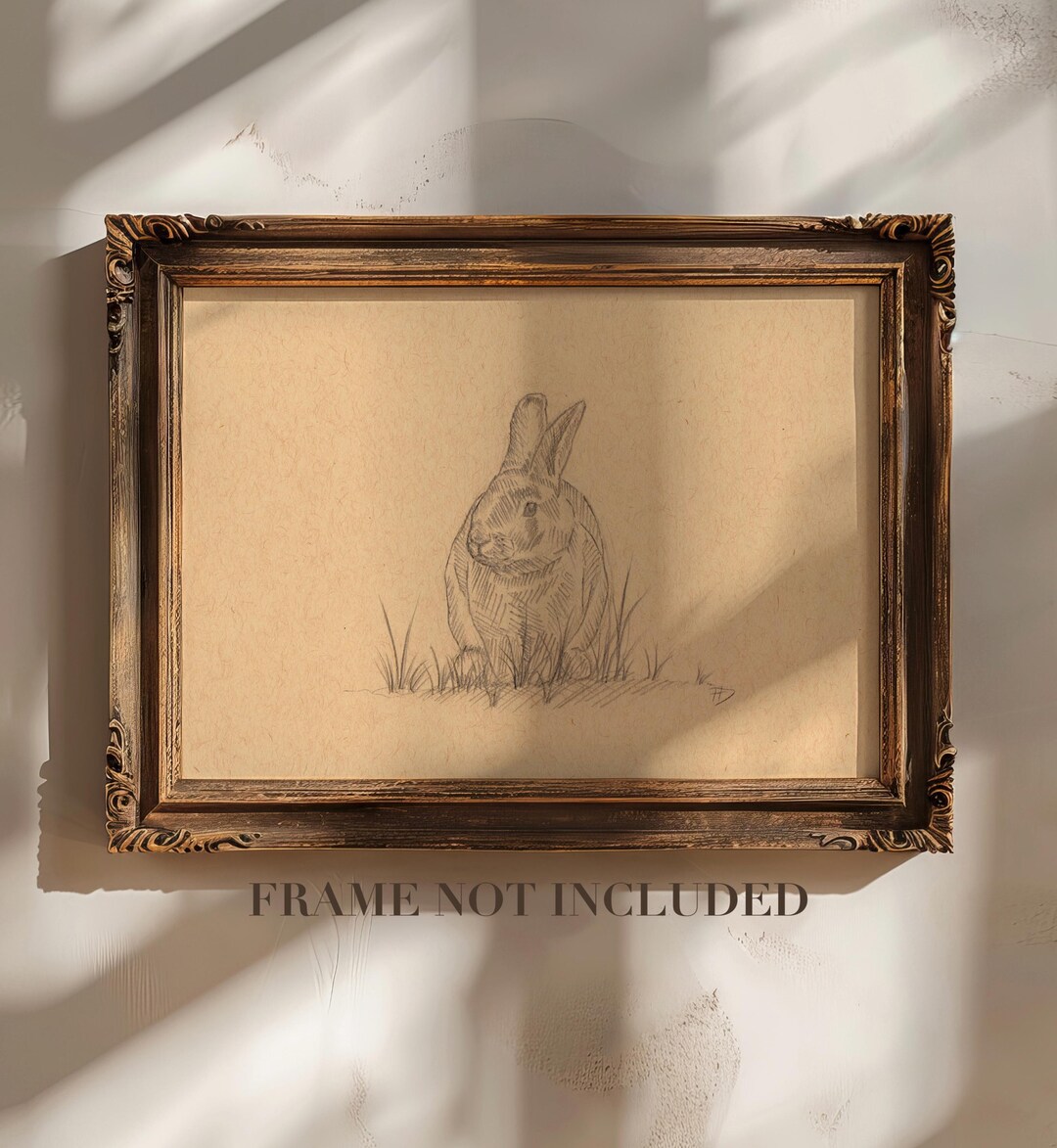 ORIGINAL Rabbit Drawing Frame NOT Included | Farm Drawing | Rabbit ...