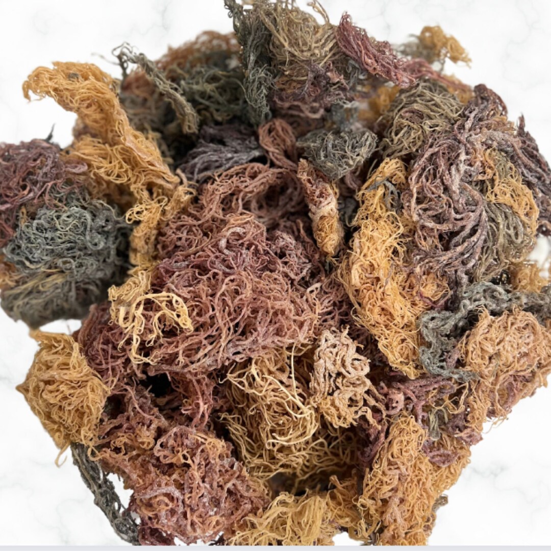 Multicolor Wildcraft Sea Moss, Full Spectrum Sea Moss, Dr Sebi, St ...