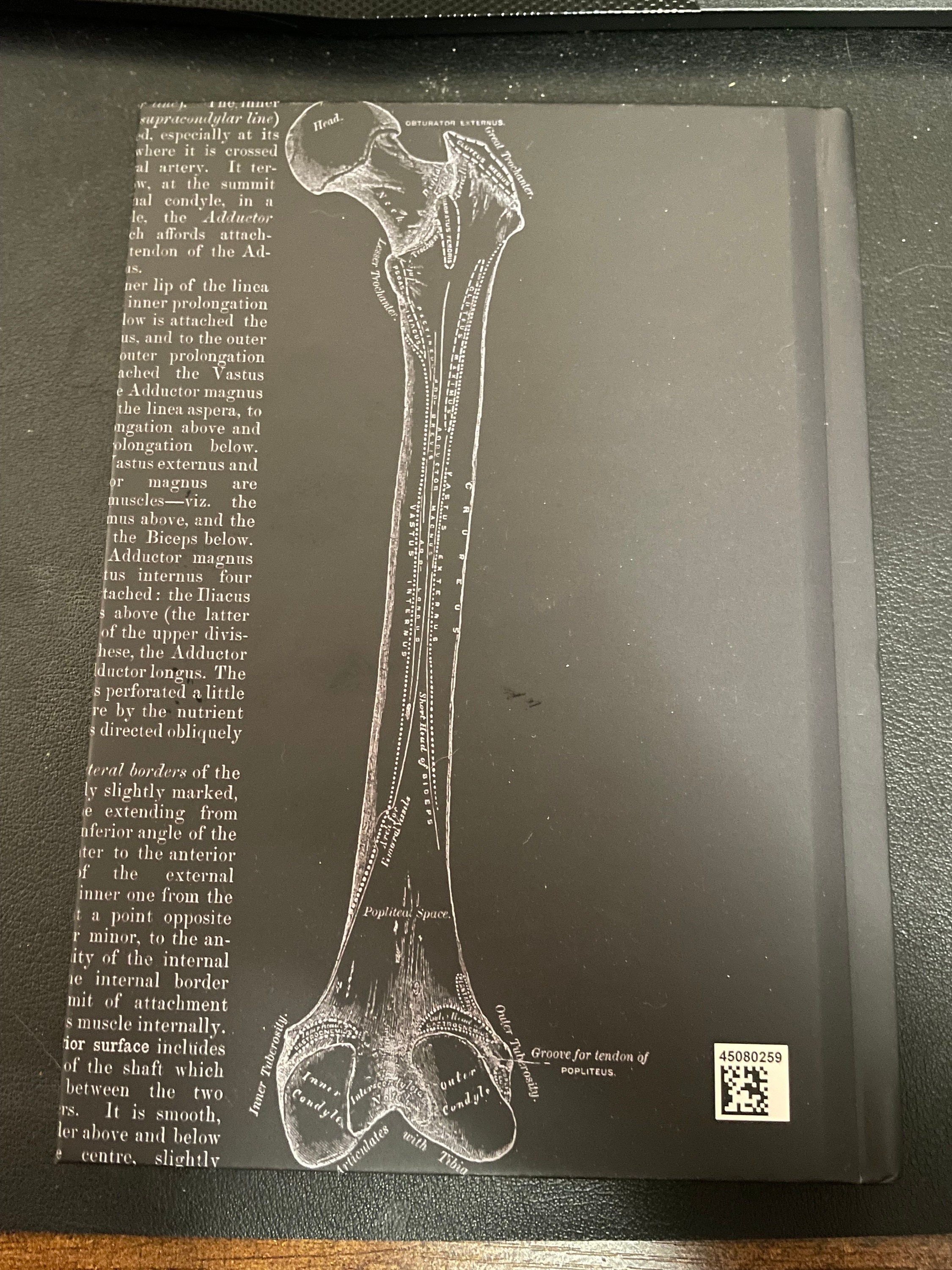 Antique Anatomy Wide Rule Journal Bones Journal Spine Text Notebook ...