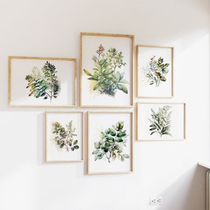 Set of 6 Botanical Wall Art Decorations,wall Art Decor, Greenery ...