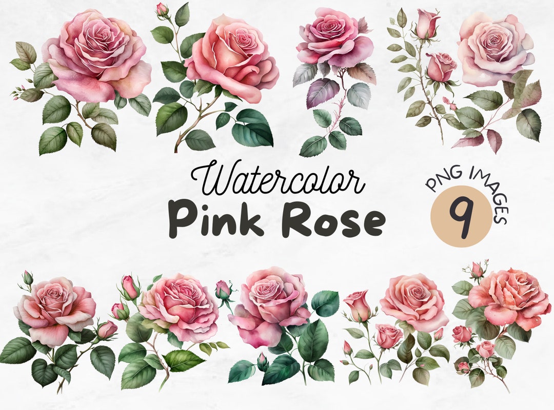 Watercolor Pink Rose PNG | Pink Rose Clipart | Flowers Png | Flowers ...