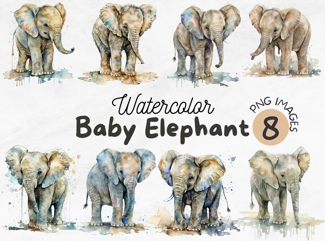 Watercolor Baby Elephant PNG | Baby Elephant Clipart | Kids Clipart ...