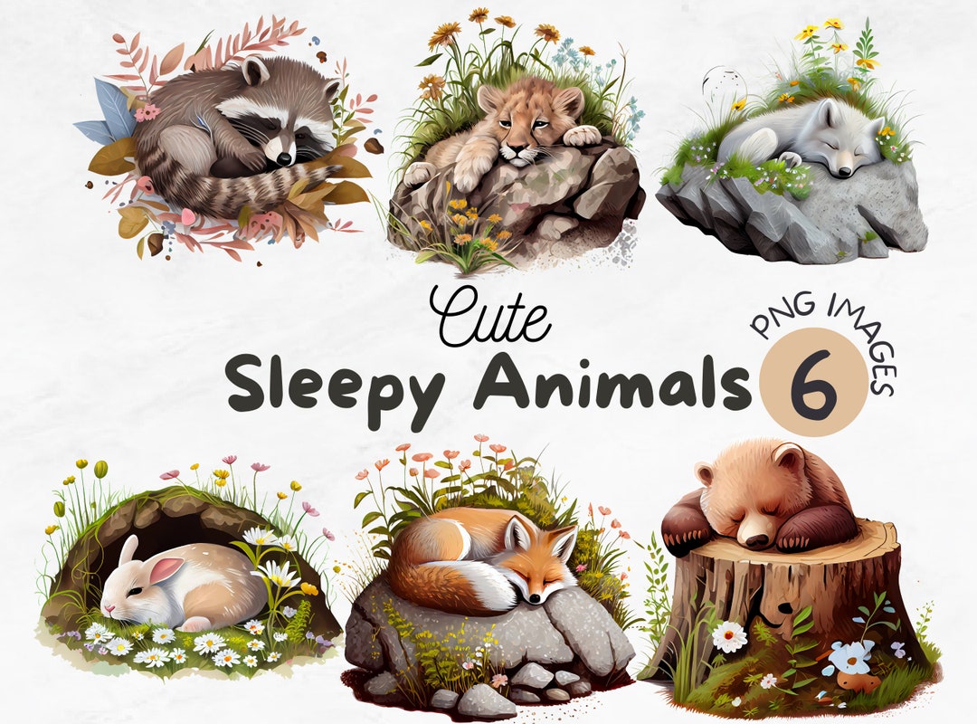 Cute Sleeping Animals PNG | Sleeping Animals Clipart | Baby Lion ...