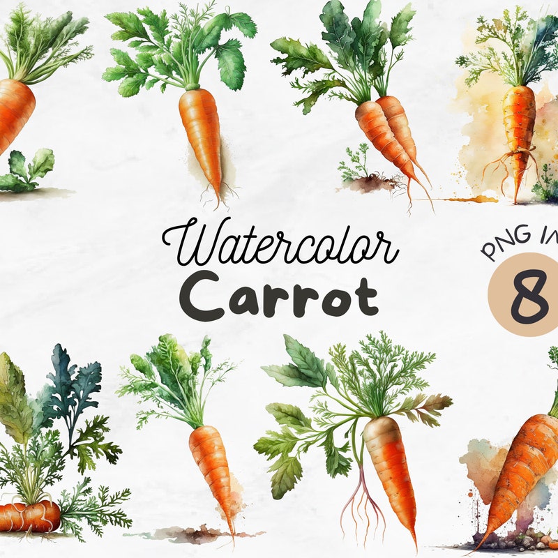 Watercolor Carrots - Etsy