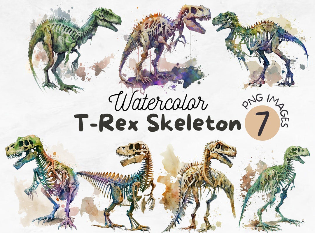 Dinosaur Skeleton PNG | Dinosaur Clipart | Dinosaur Skeleton Clipart ...