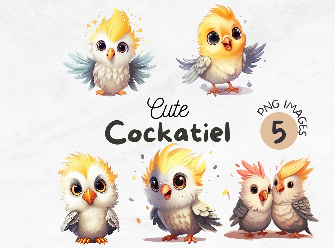 Cute Cockatiel PNG Cockatiel Clipart Bird Clipart Bird Art Animals ...