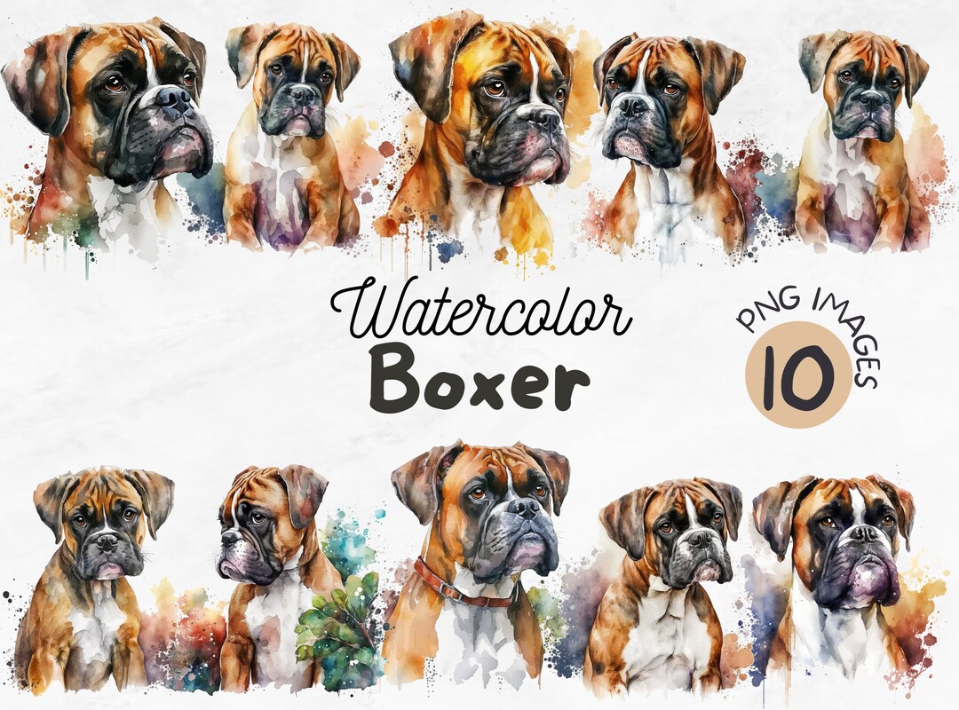 Watercolor Boxer PNG | Cute Boxer Clipart | Cute Dog Clipart | Dog Png ...