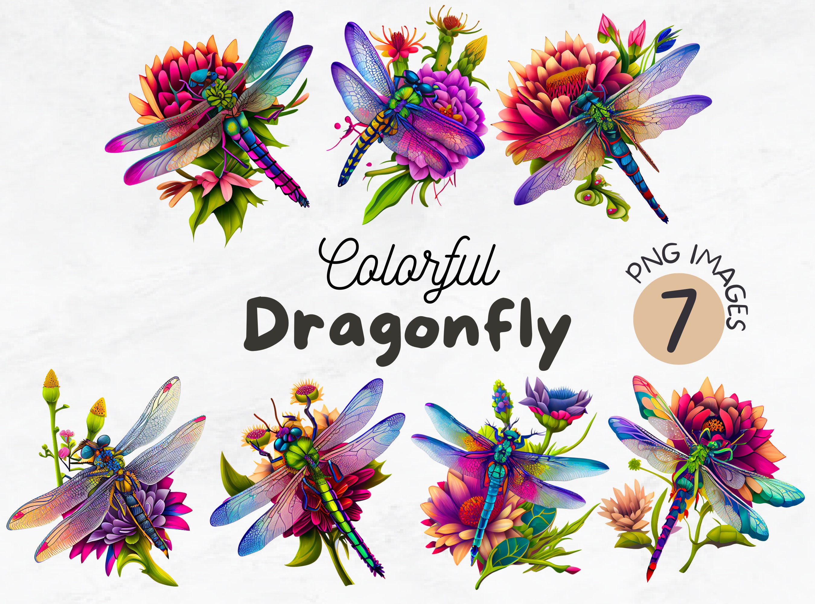 Colorful Dragonfly Clipart