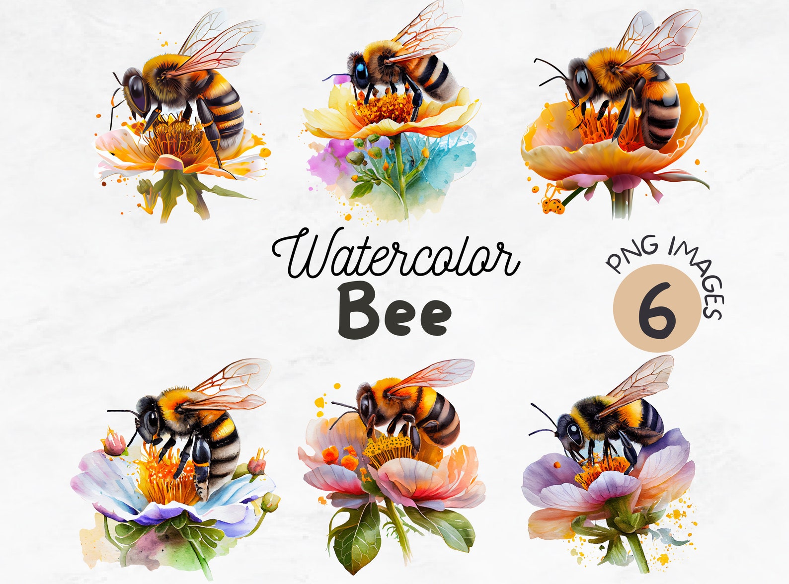 Watercolor Bee PNG Bee Clipart Honeybee Clipart Summer Clipart Insect ...