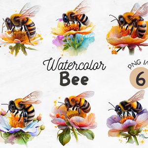Watercolor Bee PNG | Bee Clipart | Honeybee Clipart | Summer Clipart ...