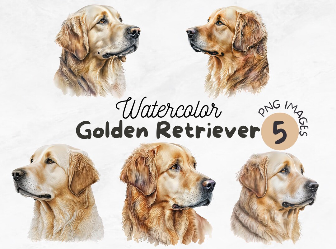 Watercolor Golden Retriever PNG Golden Retriever Clipart Golden ...