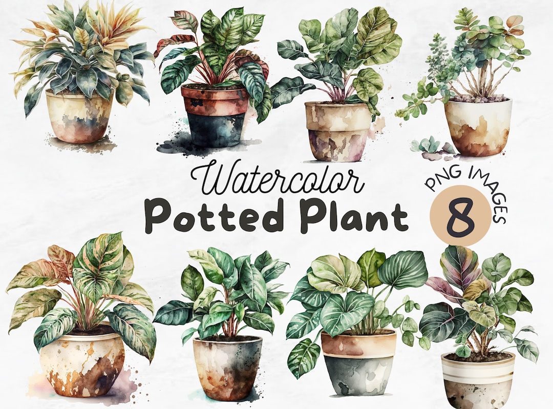 Watercolor Potted Plants PNG | Potted Plants Clipart | House Plant Png ...