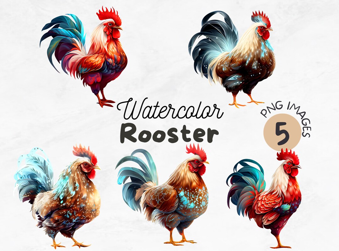 Aquarell Hahn PNG Huhn png Huhn Clipart Bauernhof Tiere png Hahn png ...