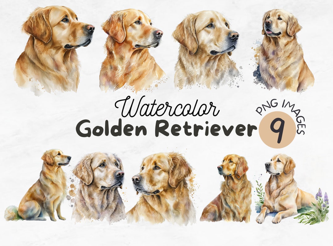Watercolor Golden Retriever PNG Golden Retriever Clipart Dog Png Cute ...