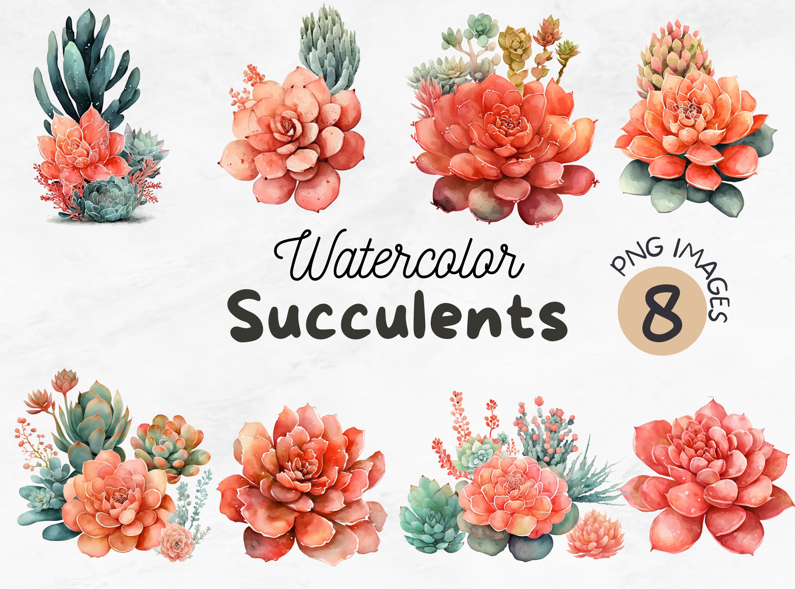 Watercolor Succulents PNG Succulents Clipart Botanical Png Floral ...