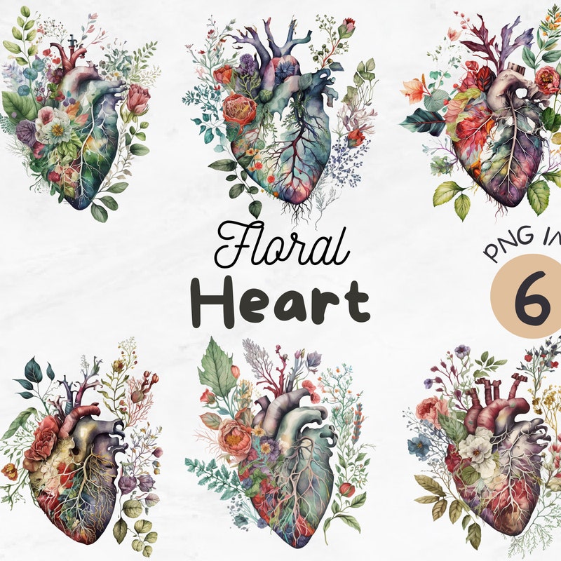 Anatomical Heart Art - Etsy