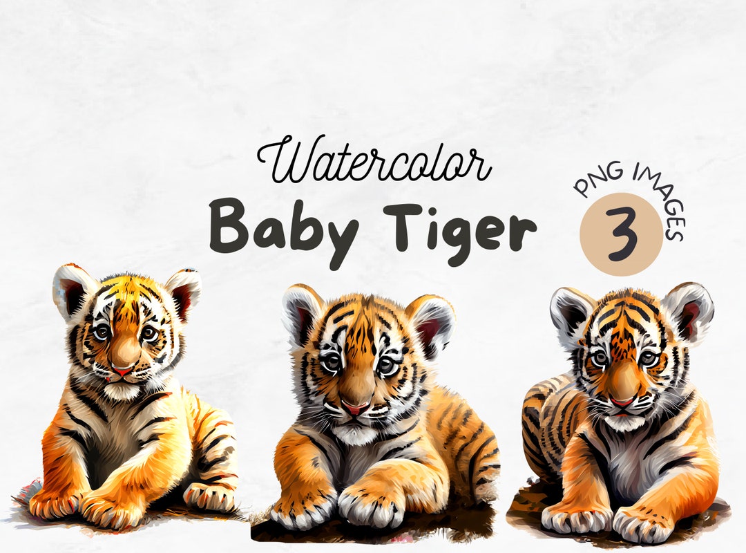 Baby Tiger Watercolor PNG Tiger Png Tiger Clipart Tiger Designs Baby ...