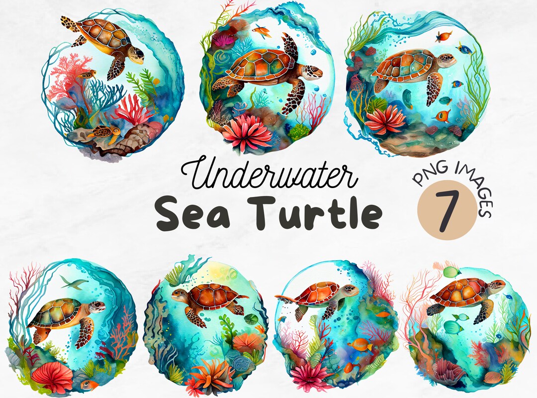 Underwater Sea Turtle PNG | Cute Sea Turtle Clipart | Turtle Png ...