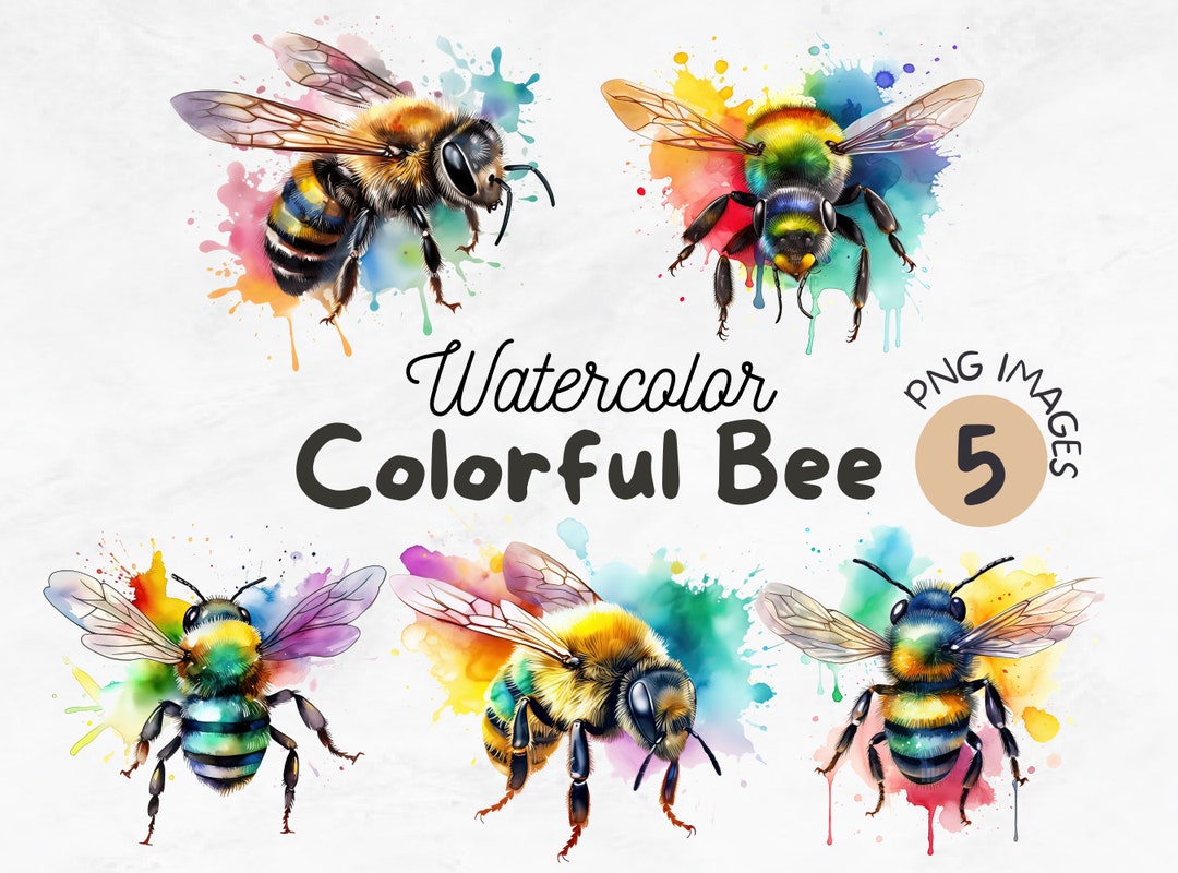 Watercolor Bee PNG | Watercolor Bee Clipart | Honeybee Clipart | Bee ...