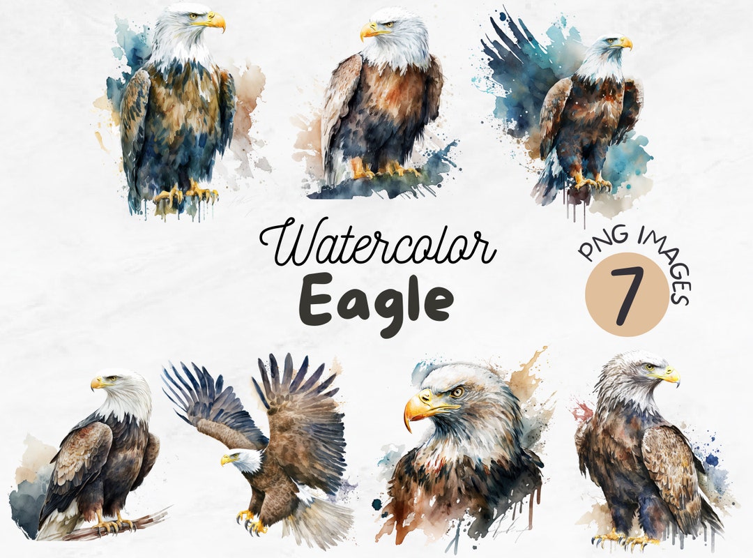 Watercolor Bald Eagle PNG | Bald Eagle Clipart | Watercolor Eagle ...