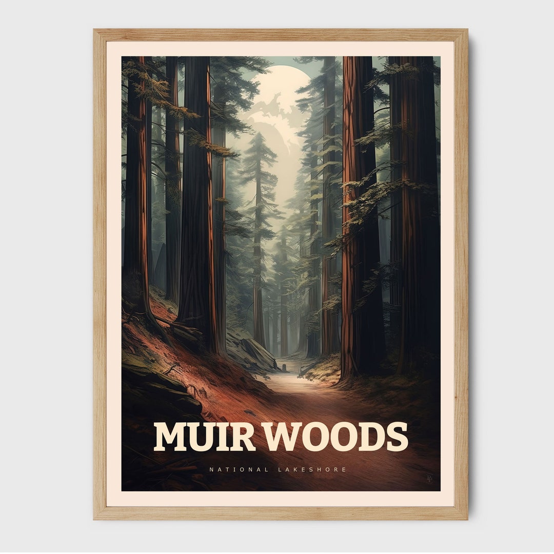 Muir Woods Print, California Travel Print, Coastal Decor, Art Print ...