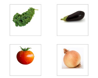 Montessori Classified Cards/ Nomenclature Phonetic Animals/ Printable ...