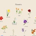 Flower Art/printable Classroom Poster/montessori Wall Art - Etsy
