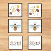 Shape 3 Part Cards/ Montessori Materials/ Printables - Etsy