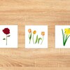 Montessori Classified Cards/ Nomenclature Phonetic Animals/ Printable ...