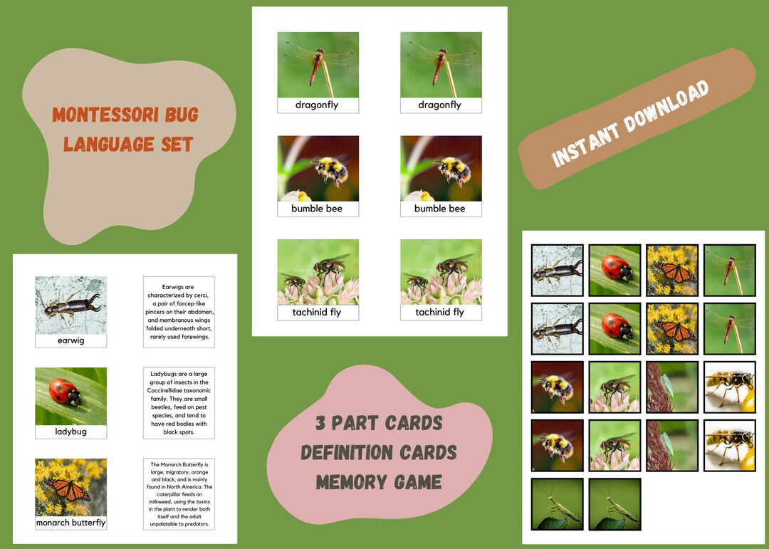 Montessori Bug Language Set/ 3 Part Cards/ Definition Booklet/ Memory ...