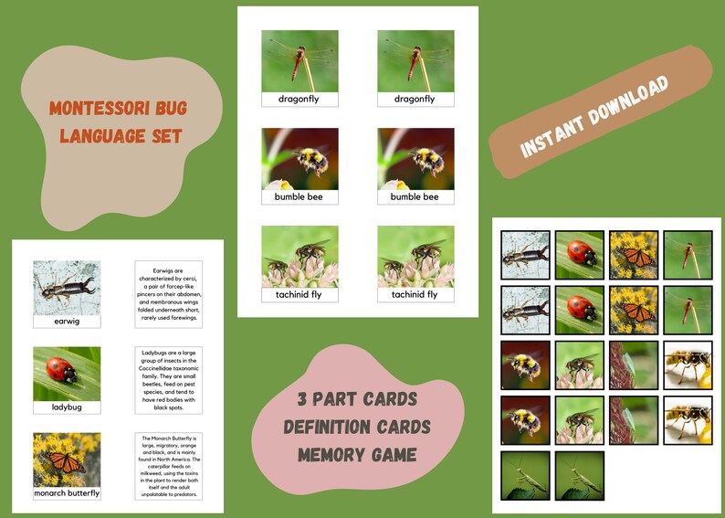 Montessori Bug Language Set/ 3 Part Cards/ Definition Booklet/ Memory ...