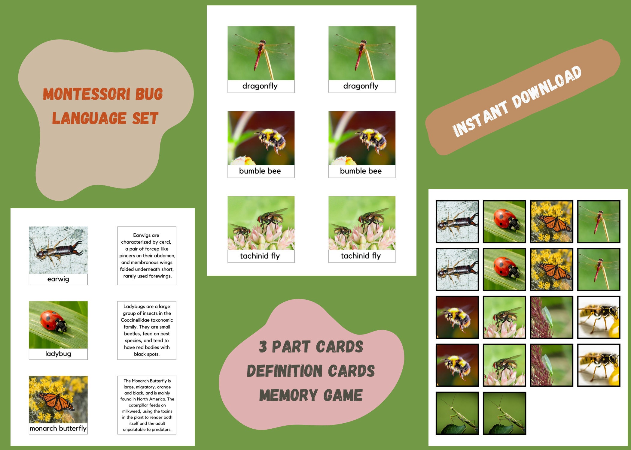 Montessori Bug Language Set/ 3 Part Cards/ Definition Booklet/ Memory ...