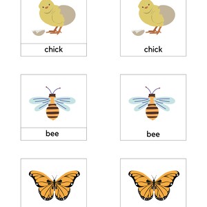 Montessori Spring 3 Part Cards/montessori Spring Printable - Etsy