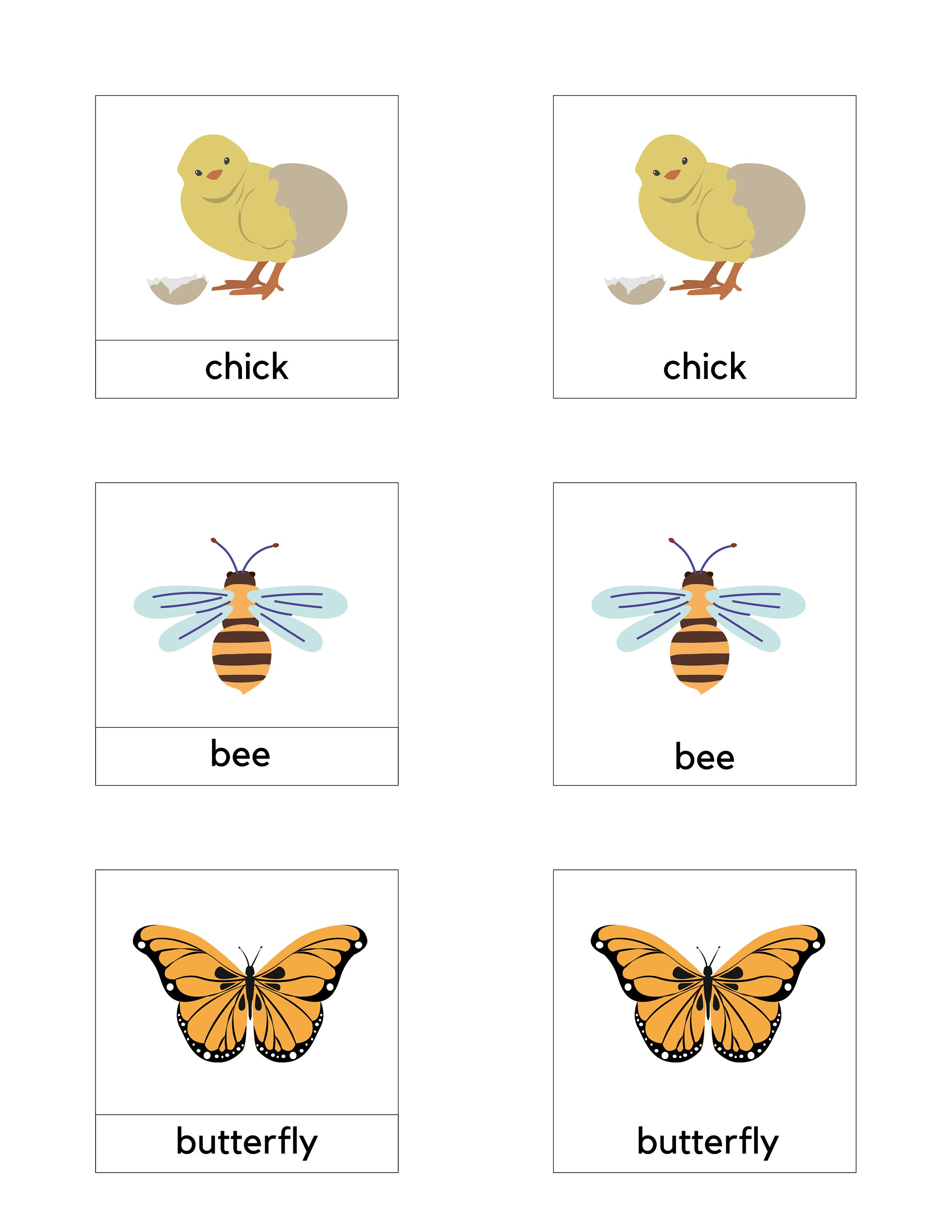 Montessori Spring 3 Part Cards/montessori Spring Printable - Etsy