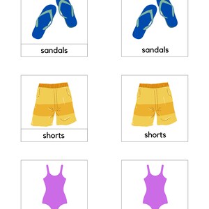 Beach 3 Part Cards/montessori Printable/summer - Etsy