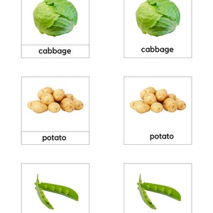 Vegetable 3 Part Cards/montessori Language Material/homeschooling ...