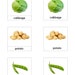 Vegetable 3 Part Cards/montessori Language Material/homeschooling ...