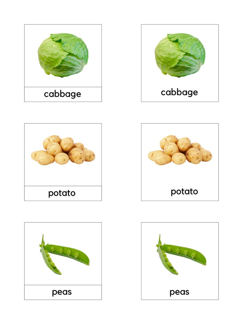 Vegetable 3 Part Cards/montessori Language Material/homeschooling ...