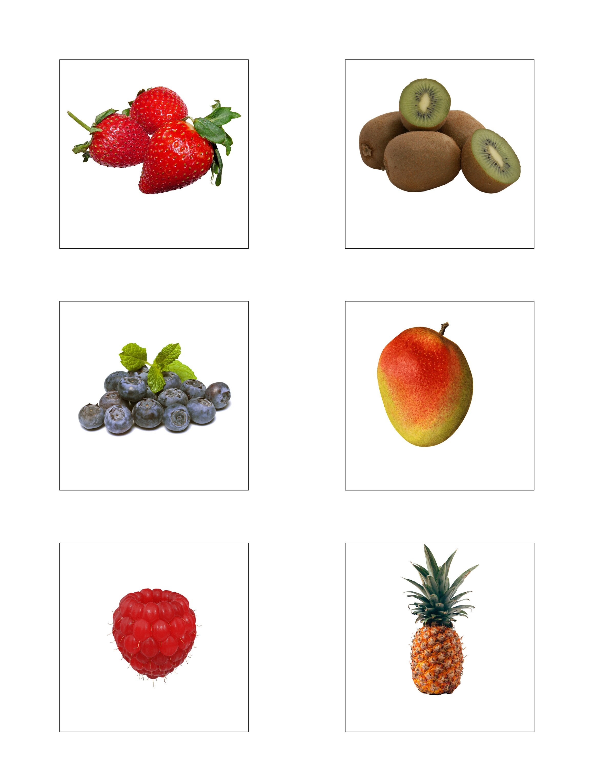 Fruit Nomenclature Cards/montessori Classified Cards/printables - Etsy