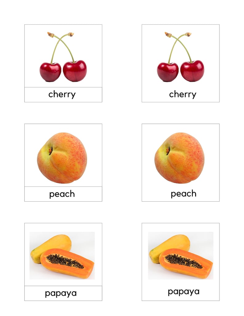 Montessori 3 Part Cards/ Fruit Cards/ Early Reading - Etsy