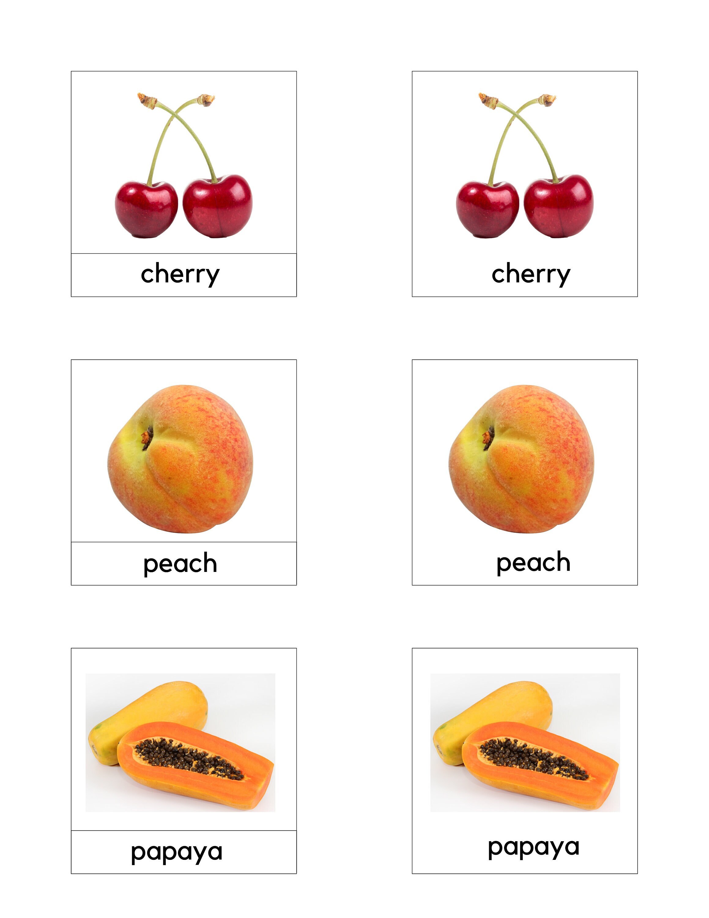 Montessori 3 Part Cards/ Fruit Cards/ Early Reading - Etsy