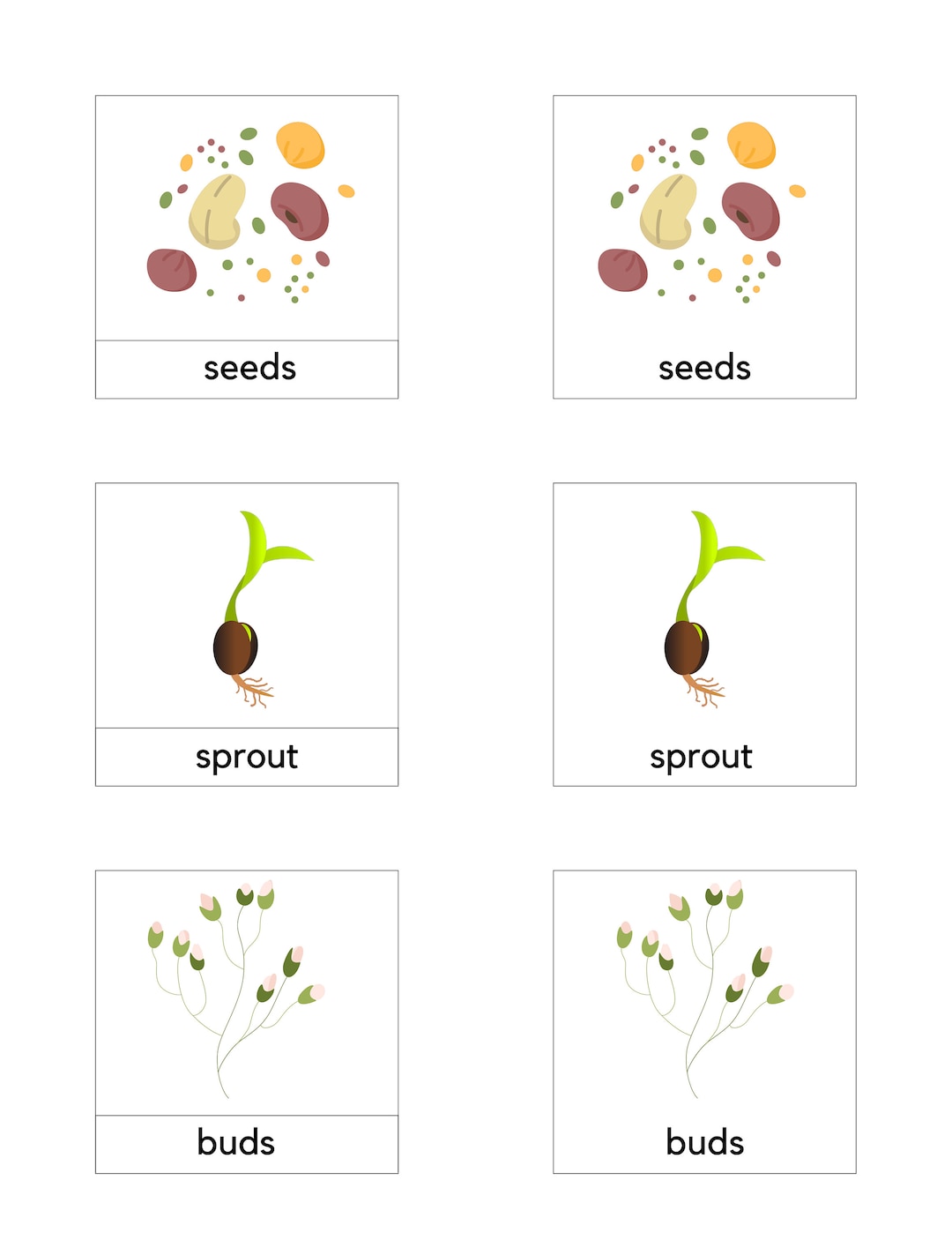 Montessori Spring 3 Part Cards/montessori Spring Printable - Etsy