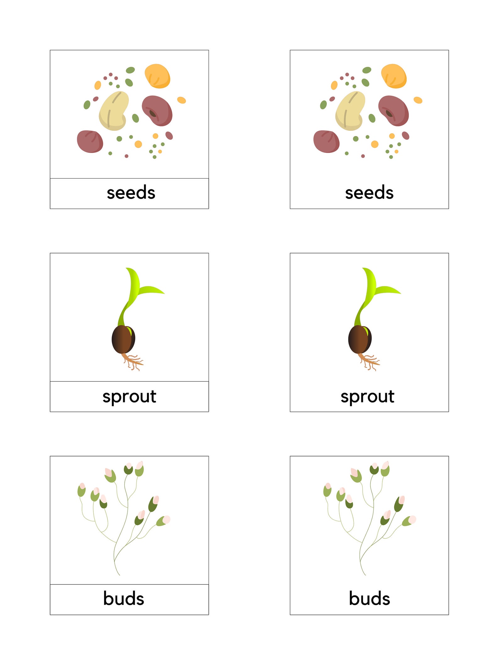 Montessori Spring 3 Part Cards/montessori Spring Printable - Etsy