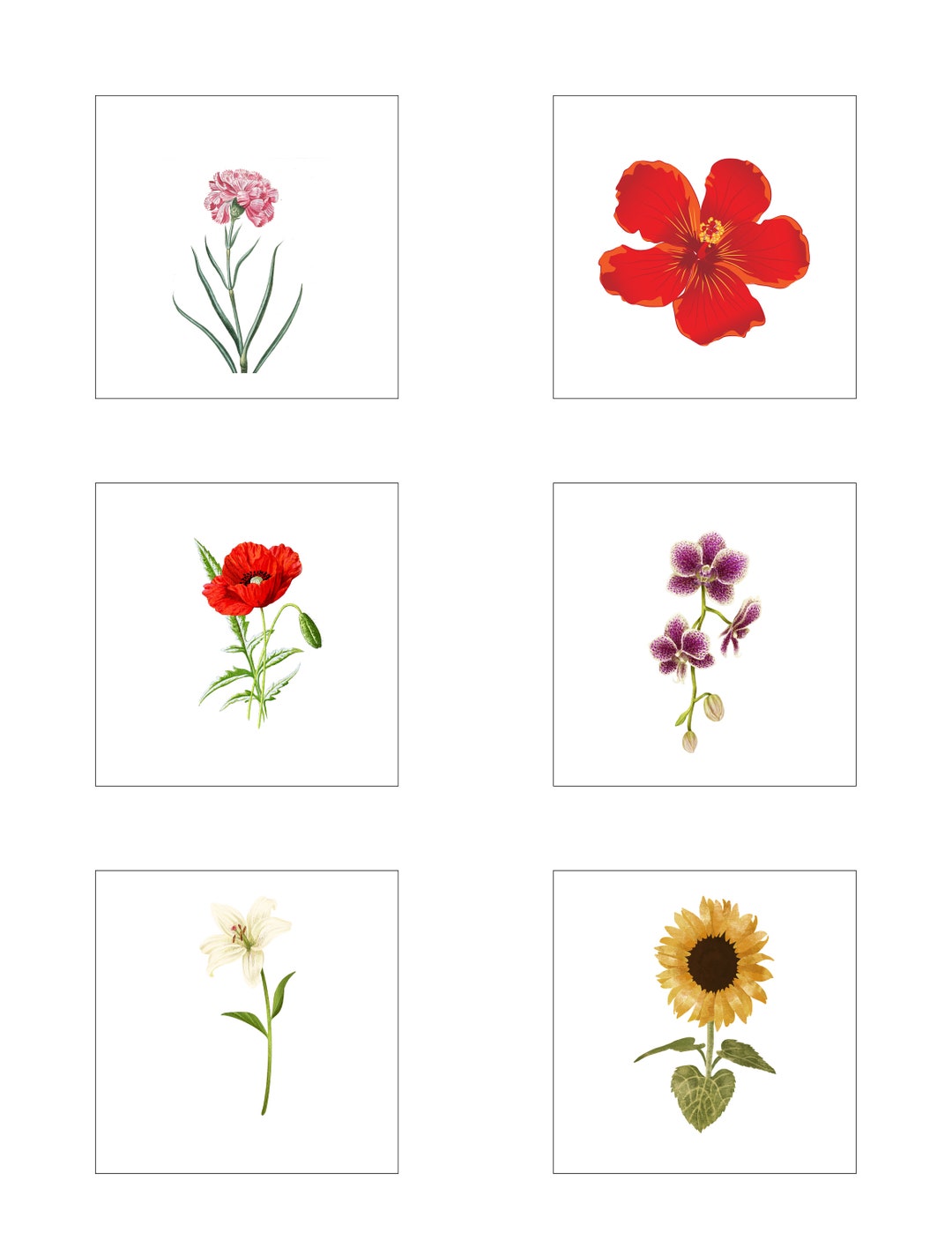 Montessori Spring Flower Bundle/ Flower 3pc/ Flower Nomenclature Cards ...
