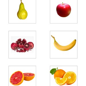 Fruit Nomenclature Cards/montessori Classified Cards/printables - Etsy