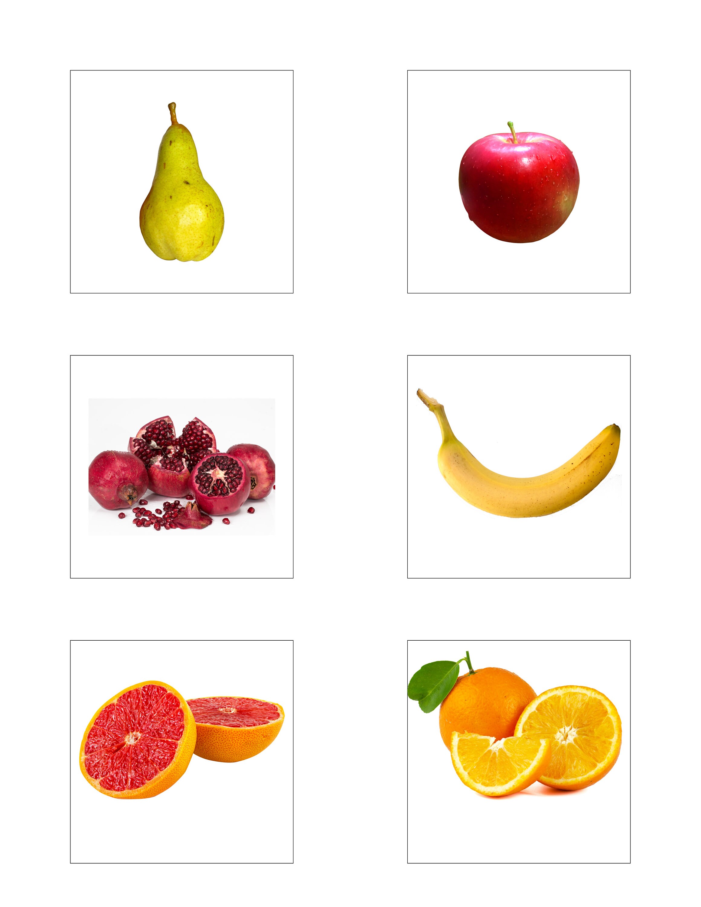 Fruit Nomenclature Cards/montessori Classified Cards/printables - Etsy